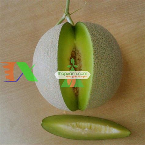 Hạt Giống Dưa Lưới Ruột Xanhcông Nghệ Nông Nghiệp