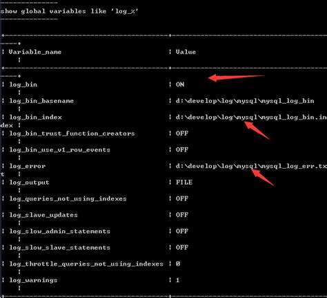 Windows系统下绿色免安装版mysql日志配置！免安装版的mysql日志路径 Csdn博客