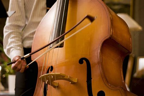 Kontrabass Background Images Hd Pictures And Wallpaper For Free