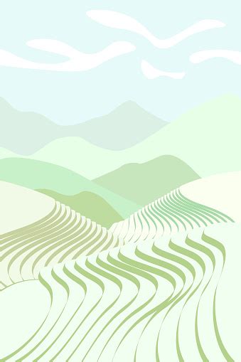 논 필드 포스터 산 풍경에 중국 농업 테라스 녹색 논안개 농촌 농지 풍경 계단식 농부 재배 농장 아시아 농업 벡터 배경 풍경에