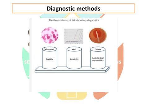 Sexually Transmitted Infections Ppt[1] 052541 Pptx