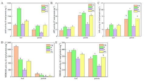 Effect Of Exogenous Proline On The Activity Of Asa Gsh Cycle Related