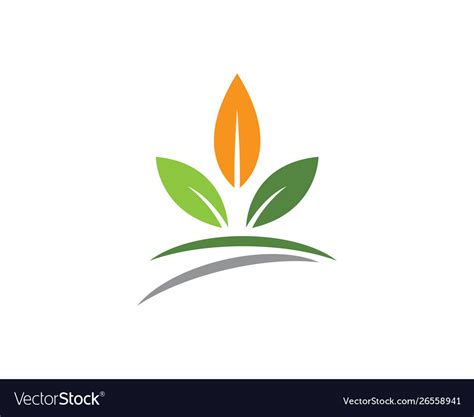 Tree Leaf Logo Design Royalty Free Vector Image