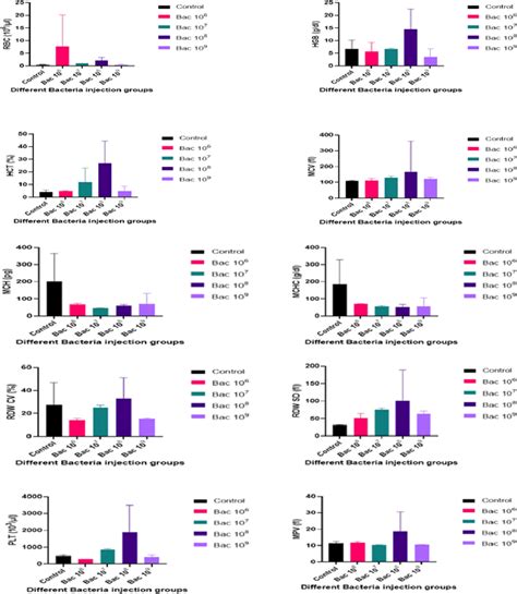 Figure 3 From Pathogenicity Of Streptococcus Pyogenes And Its Correlation With Hematological