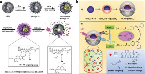 Nir‐triggered On‐demand Drug Delivery A Schematics Of Drug Delivery