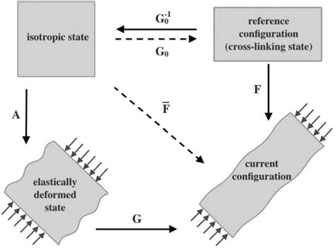 Schematic Of Multiplicative Decomposition Download Scientific Diagram