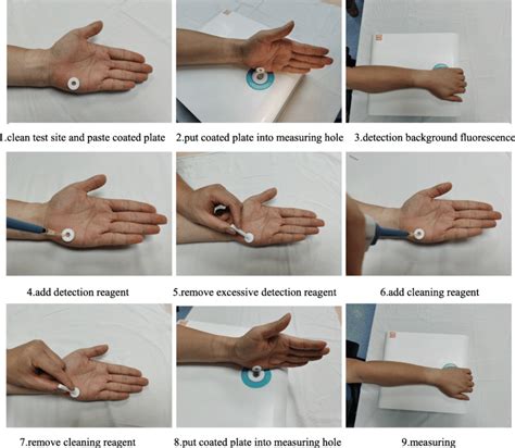 Detection Process Of Non Invasive Skin Cholesterol Testing System Download Scientific Diagram