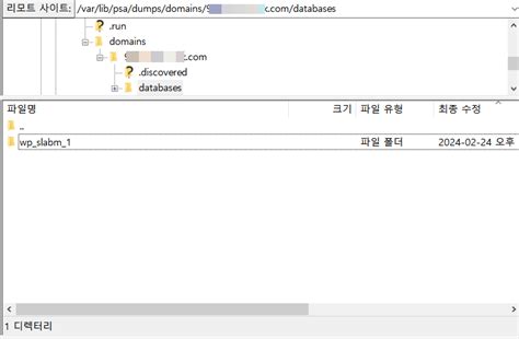 Vultr 무료 Plesk에 설치된 워드프레스 오류 데이터 백업하기 워드프레스 정보꾸러미