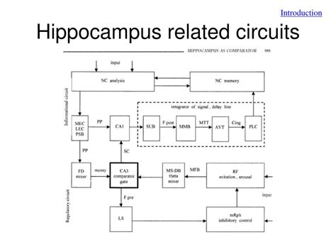Ppt Why Are There Parallel Hippocampal Diencephalic Pathways For Event Memory Powerpoint