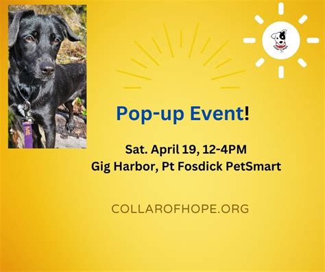 Pop Up Event Pop Up Event