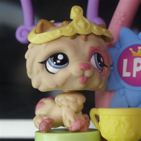 Lps Crown 🐾 Authentic Lps At Littlest Brainrot