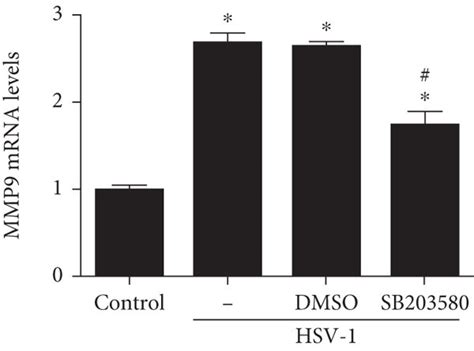 Inhibition Of P38 Mapk Expression Alleviated Oxidative Stress And