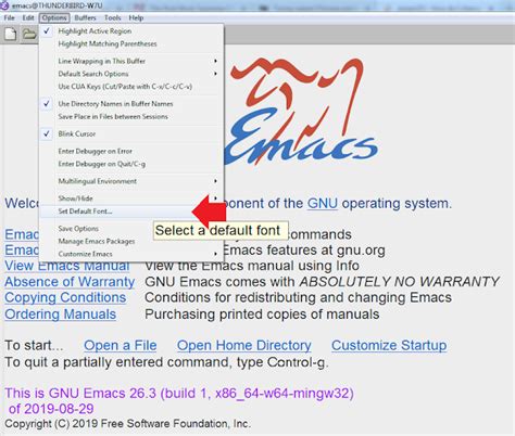 Metadata Consulting Dot Ca How To Setup Font Size For GNU Emacs For