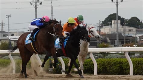 若さの「特権」を生かして【競馬マスターズ 坂田博昭】 Uma（ウマプラ） 楽天競馬の競馬情報サイト
