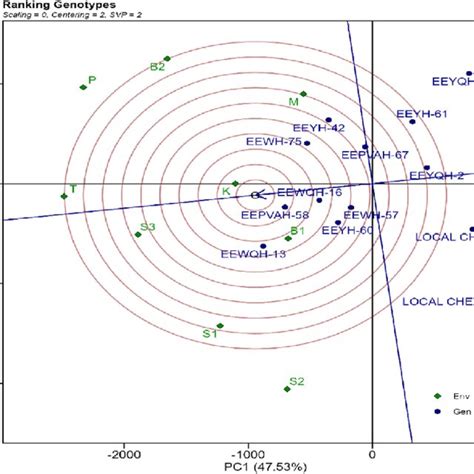 Ranking Of 13 Extra Early Maturing Maize Hybrids Relative To An Ideal Download Scientific