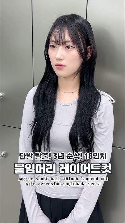 고객님의 3년을 아껴드릴게요♥ Shorts 붙임머리레이어드컷 레이어드컷 붙임머리허그컷 허그컷 Youtube
