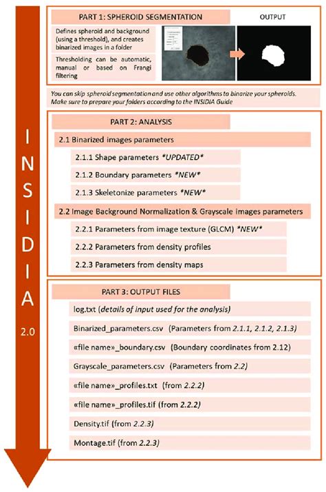 Insidia 20 Workflow Comprises Spheroid Segmentation Optional
