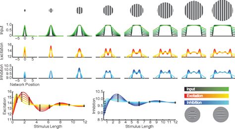 Figure 11 From A Novel Circuit Model Of Contextual Modulation And