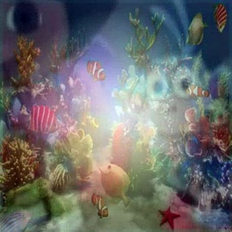 Dora The Explorer Fish Out Of Water Dora The Explorer Collection Dvd