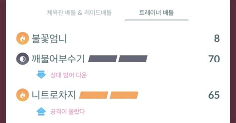 포켓몬고 화염레오 가이드