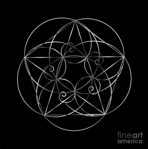 Fibonacci Spiral The Sacred Geometry Digital Art By Shawlin