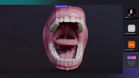 Beginner English Class Day 4 The Importance Of Articulators In