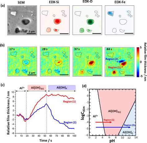 Figure 1 From Imaging And Quantifying The Chemical Communication Between Single 1 Particles In