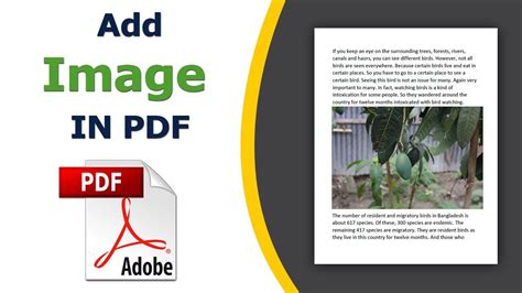 How To Tick Mark In Pdf File Using Adobe Acrobat Pro Dc Artofit