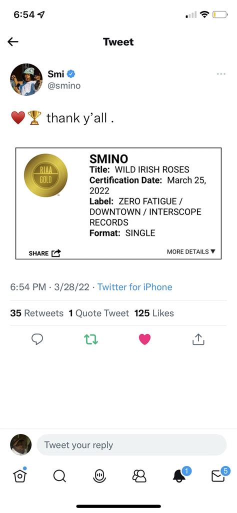 Sminos Song Wild Irish Roses From Album Blkswn Is Now Gold With