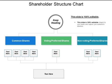 Shareholder Structure Chart Powerpoint Templates Backgrounds