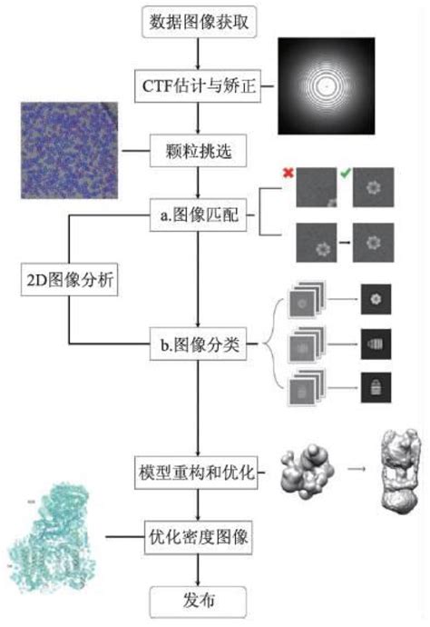 冷冻电镜 青岛希诺智能科技有限公司