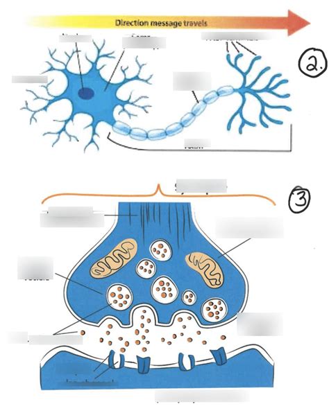 Intro To Comm Exam 1 Diagram Quizlet