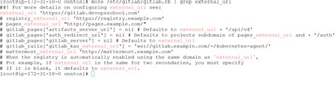 GitLab Tutorials Using Letsencrypt With Gitlab Self Hosted Server DevOpsSchool