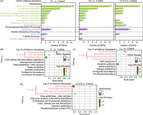 Enrichment Pathway Analysis Of Dems In Sediment Note Screening