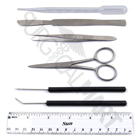 Dissection Tools Clipart Pictures