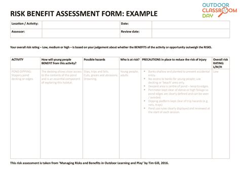 Ppd Risk Assessment Form