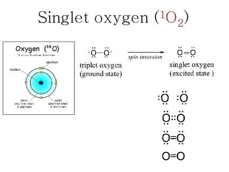 Types Of Oxidation And Factors Affecting It Ppt