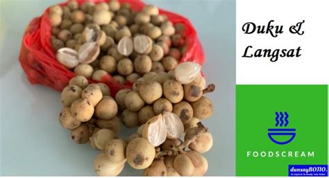 The Benefits Of Langsat Fruit Food And Service Business