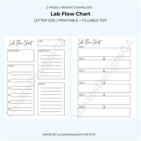 Science Lab Flow Chart School Flow Chart Biologynursingkinesiologychemistry Lab Flow Chart