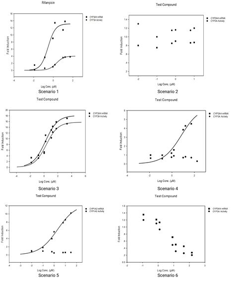 Mrna Levels Vs Enzyme Activity Levels Which Should I Choose For