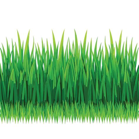 Natural Green Grass Seamless Design For Backdrops 54041701 Vector Art