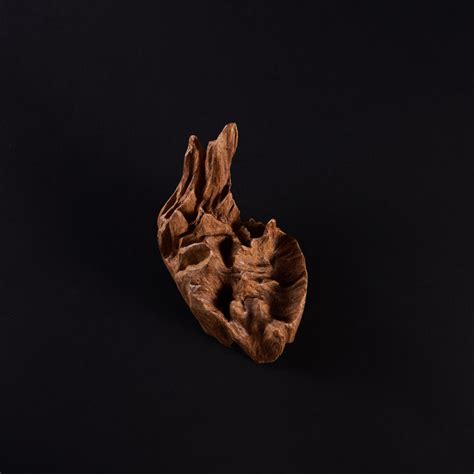 X Saad Bashammakh سعد باشماخ