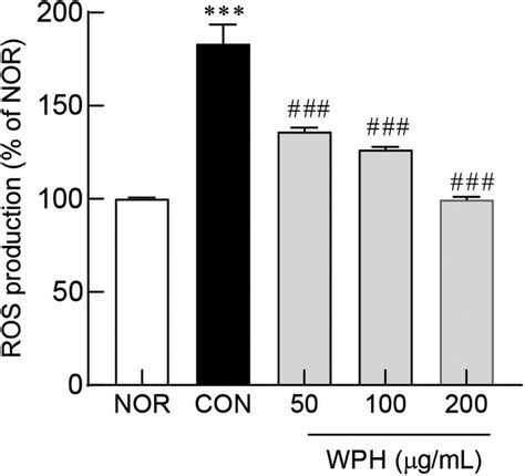 The Effect Of Whey Protein Hydrolysate Wph On Reactive Oxygen Species