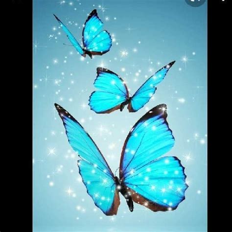 Pixiecat Hello Im Pixie I Love Fashion Just Like This