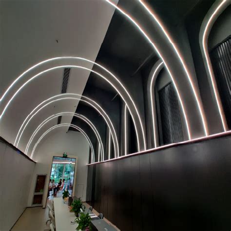 12V Silicone Led Flex Neon Light For Sale AWELLED