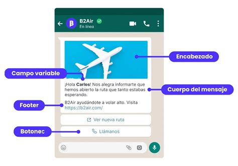 ¿cómo Enviar Mensajes Automáticos Por Whatsapp B2chat