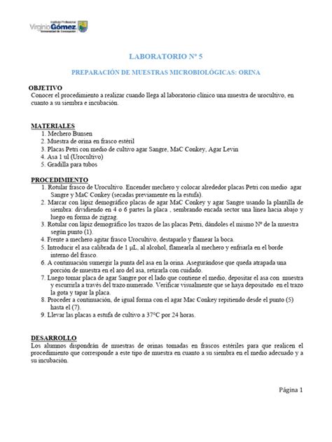 Laboratorio N°5 Y N°6 Uroculivo Y Antibiograma Pdf Biología