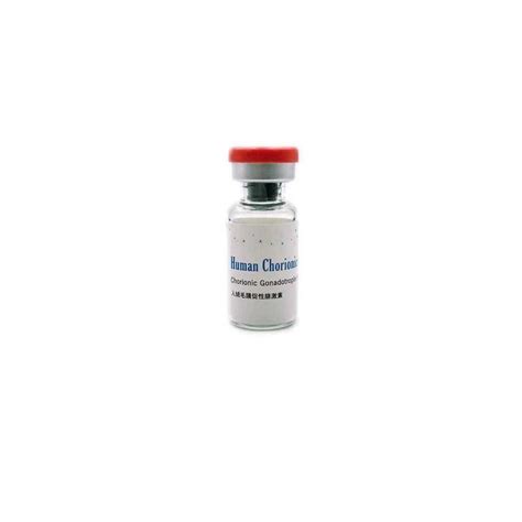 Human Chorionic Gonadotropin Hcg Steroid Gainz