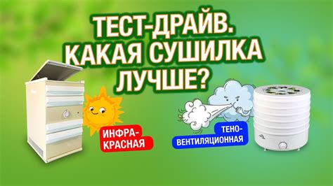 2к. Инфракрасная сушилка Дачник 4 или вентиляторная (тест). Лучшие ...