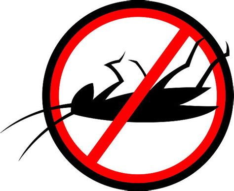 Best Dead Bug Illustrations Royalty Free Vector Graphics And Clip Art